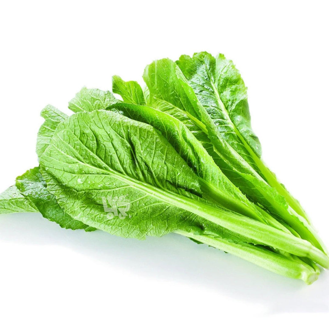 Mustard Leaves (Mustasa) – PalengkeGo
