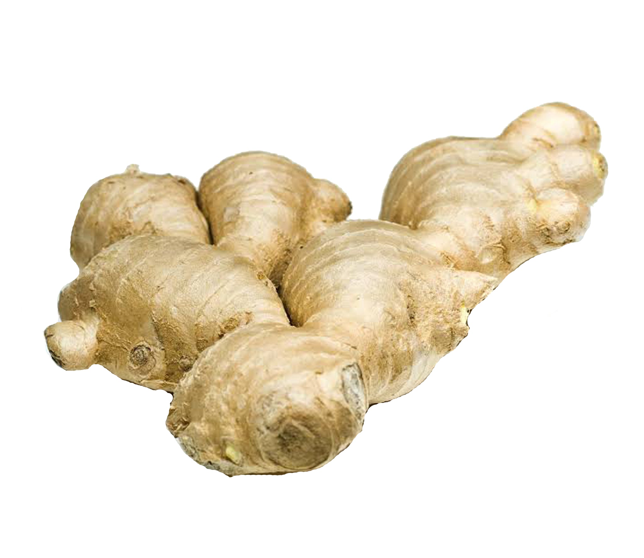 Ginger (Luya) – PalengkeGo